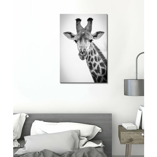 Картина - Жираф, жираф арт, пятнистый жираф (5) 20х30