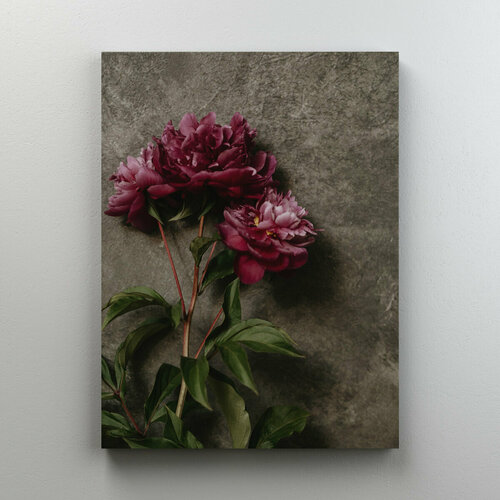 Интерьерная картина на холсте "Бордовый пион" растения, размер 22x30 см