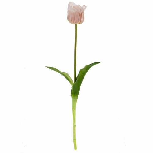 Цветок искусственный "Тюльпан", L=15 W=6 H=45 см