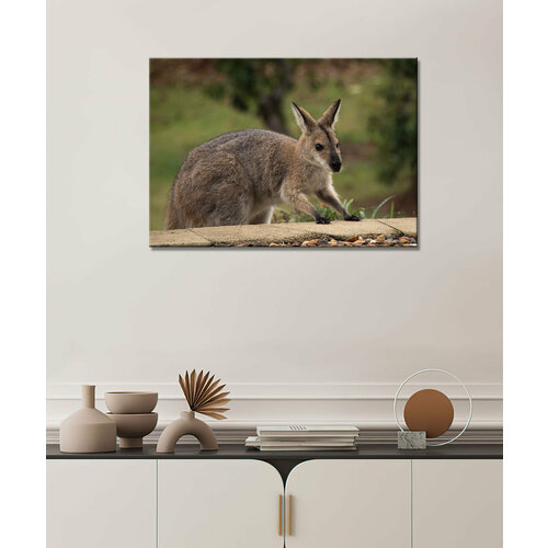 Картина - кенгуру, маленький кенгуру, кенгуру в природе (43) 60х80