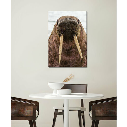 Картина - Морж, морж в воде, моржик (24) 60х80