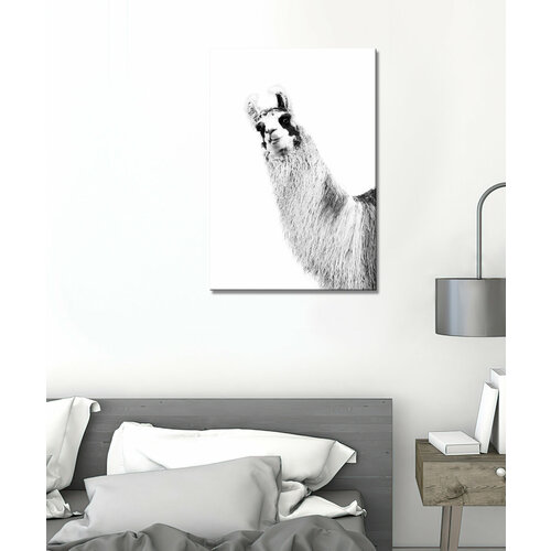 Картина - Лама, лама белая (6) 50х70