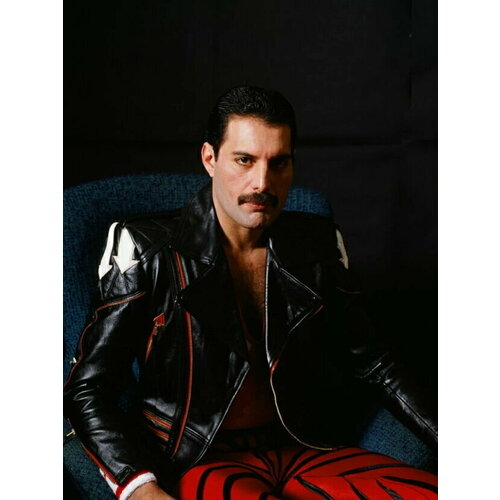 Плакат, постер на бумаге Freddie Mercury/Фредди Меркьюри/музыкальные/поп исполнитель/артист/поп-звезда/группа. Размер 60 х 84 см