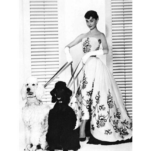 Плакат, постер на бумаге Audrey Hepburn/Одри Хепбёрн/искусство/арт/абстракция/творчество. Размер 21 на 30 см