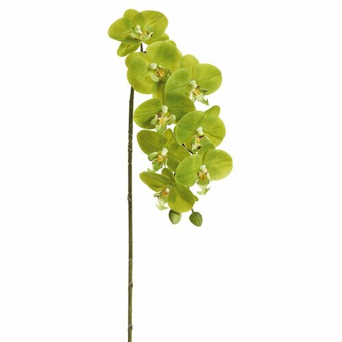Цветок декоративный "Орхидея" #206644-810 Fiebiger Floristik 82 см