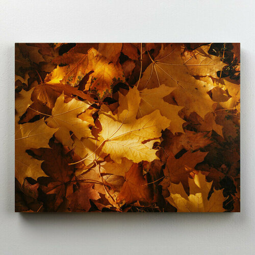 Интерьерная картина на холсте "Осенние листья клена" размер 40x30 см