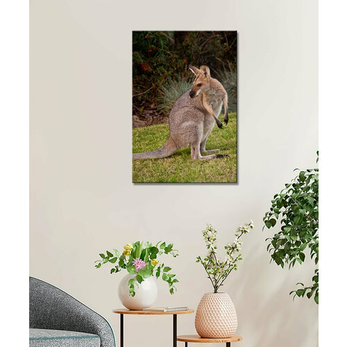 Картина - кенгуру, маленький кенгуру, кенгуру на траве, малыш кенгуру (13) 20х30