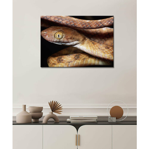 Картина - змея, коричневая змея, глаз змеи, змея на чёрном фоне (4) 50х70