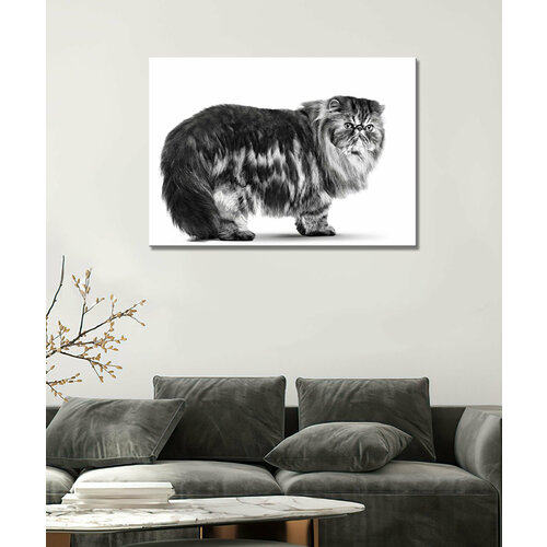 Картина - кошка, персидская кошка, домашняя кошка, ласковая кошка, кот (299) 40х60