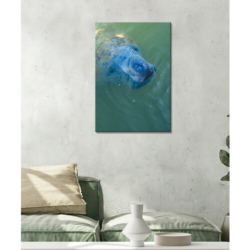 Картина -Ламантин, морская корова, ламантин в воде (11) 60х80
