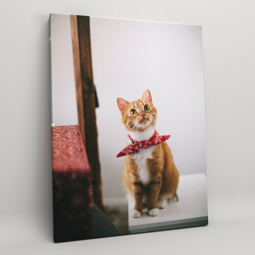 Картина на холсте (интерьерный постер) "Рыжий котенок с галстучком" животные, с деревянным подрамником, размер 45x60 см