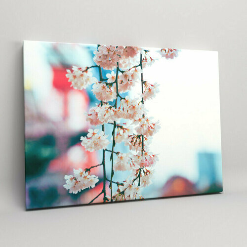 Картина на холсте (интерьерный постер) "Ветви цветущей сакуры весной", с деревянным подрамником, размер 40x30 см