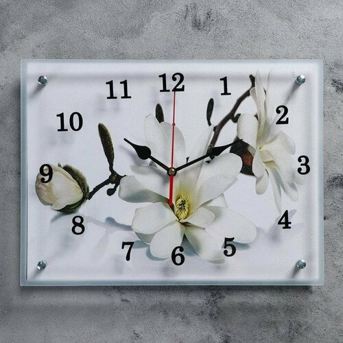 Часы настенные, серия: Цветы, "Орхидея", 30х40 см, микс (комплект из 2 шт)