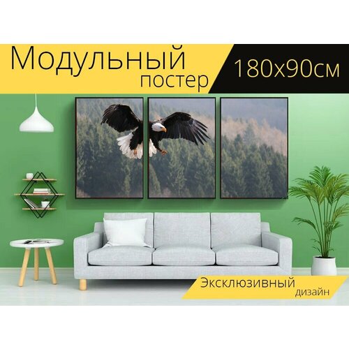 Модульный постер "Орел, природа, впечатляющие" 180 x 90 см. для интерьера