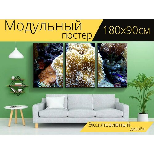 Модульный постер "Коралл, дайвер, подводный" 180 x 90 см. для интерьера