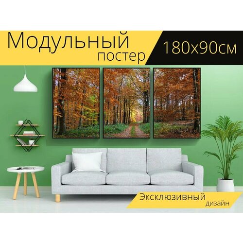 Модульный постер "Осенний лес, буковый лес, лесная тропа" 180 x 90 см. для интерьера