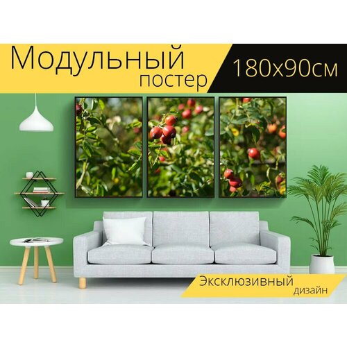Модульный постер "Дартс, витамины, фрукты" 180 x 90 см. для интерьера