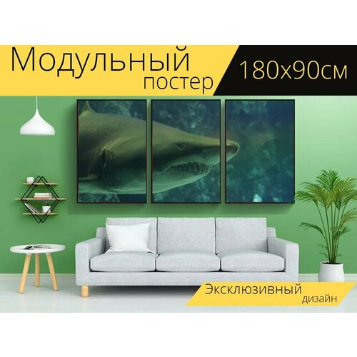 Модульный постер "Акула, зубы, подводный" 180 x 90 см. для интерьера