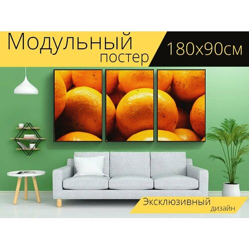 Модульный постер "Апельсины, апельсин, природа" 180 x 90 см. для интерьера