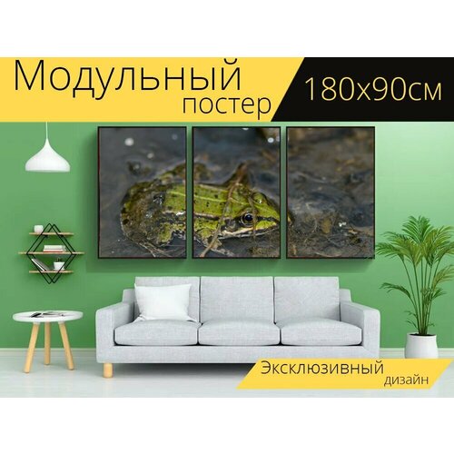 Модульный постер "Лягушка, травы лягушка, вода" 180 x 90 см. для интерьера
