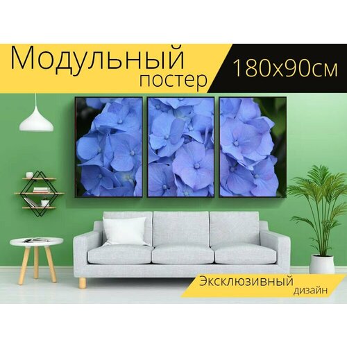 Модульный постер "Цветок, цветок гортензия синий, лепестки" 180 x 90 см. для интерьера