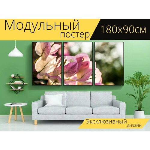 Модульный постер "Цветущий, кустарник, цвести" 180 x 90 см. для интерьера