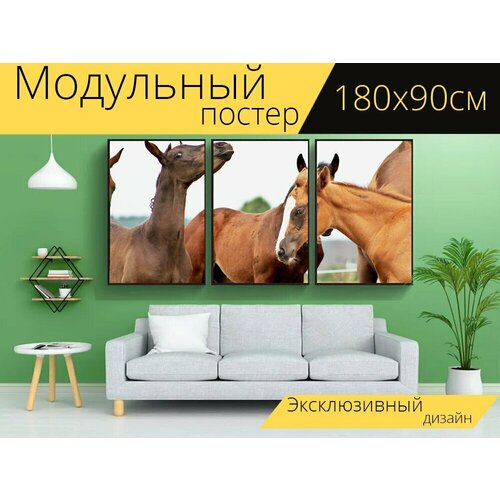 Модульный постер "Лошадь, жеребенок, коневодство" 180 x 90 см. для интерьера