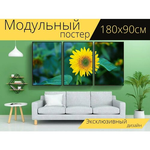 Модульный постер "Подсолнух, жёлтый, цветок" 180 x 90 см. для интерьера
