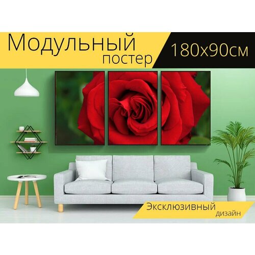 Модульный постер "Rose, роуз, весна" 180 x 90 см. для интерьера