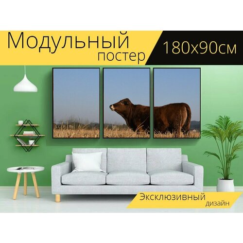 Модульный постер "Поле, деревенский, корова" 180 x 90 см. для интерьера