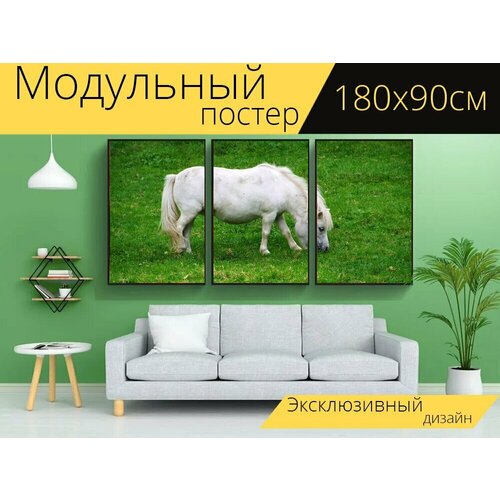 Модульный постер "Пони, белая крошечная лошадь, копытное животное" 180 x 90 см. для интерьера