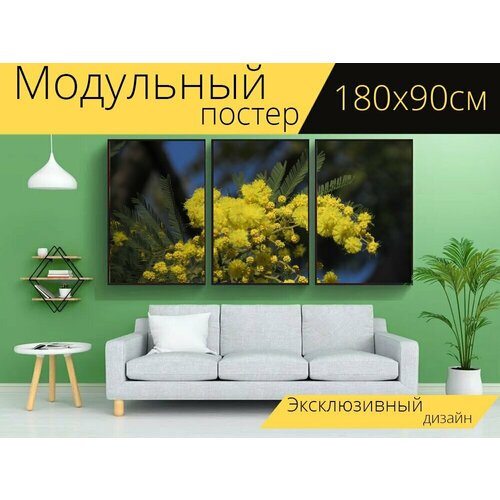 Модульный постер "Мимоза, цветы, весна" 180 x 90 см. для интерьера