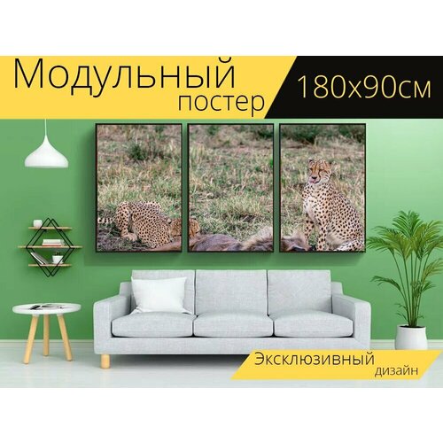 Модульный постер "Гепарды, хищник и добыча, охота" 180 x 90 см. для интерьера