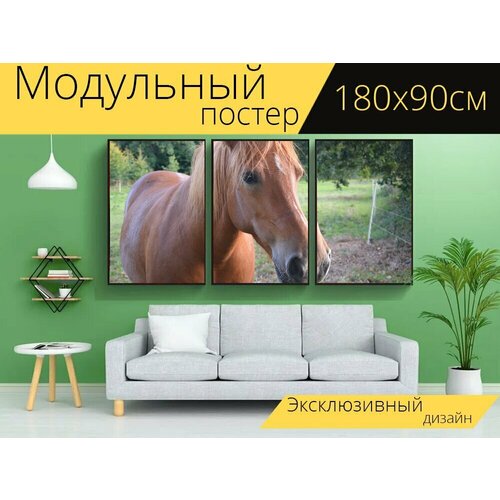 Модульный постер "Лошадь, кобыла, племенная кобыла" 180 x 90 см. для интерьера