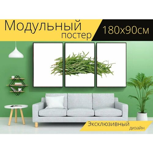 Модульный постер "Розмари, трава, медовый" 180 x 90 см. для интерьера