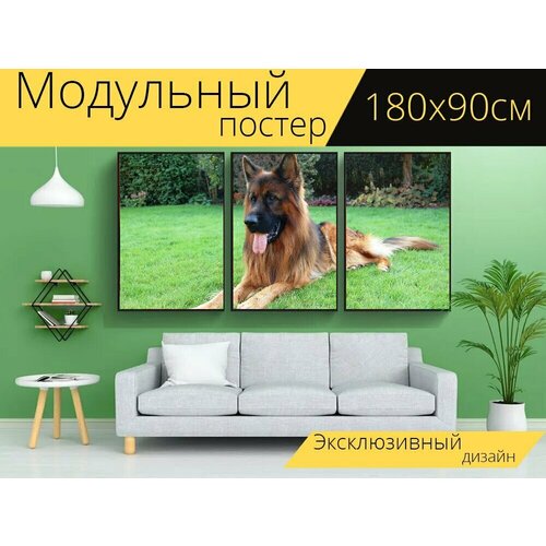Модульный постер "Немецкая овчарка, друг, собака" 180 x 90 см. для интерьера