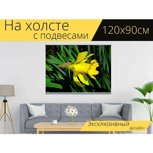 Картина на холсте "Нарцисс, цветок, весна" с подвесами 120х90 см. для интерьера
