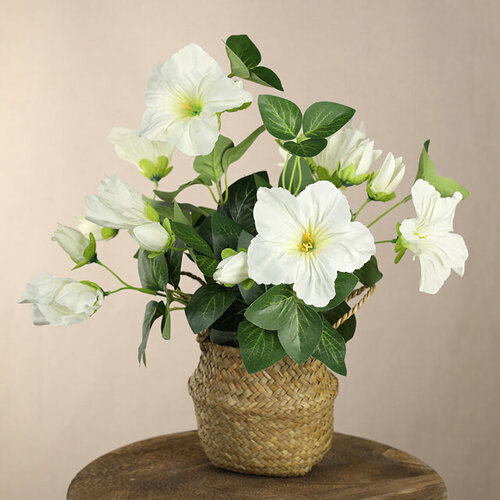 Koopman Искусственный цветок в горшке Petunia 35*20 см белая 317221240