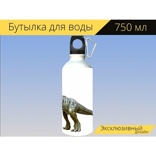 Бутылка фляга для воды "Первобытные времена, динозавр, ящерица" 750 мл. с карабином и принтом
