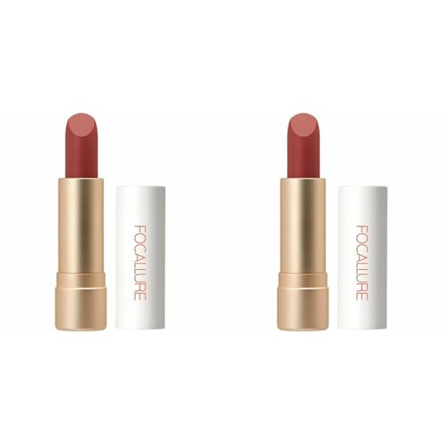 Focallure Помада для губ Staymax Powder Matte Lipstick тон 10, 3 г, 2 уп.