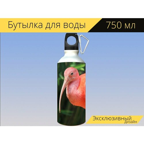 Бутылка фляга для воды "Алый ибис, ибис, птица" 750 мл. с карабином и принтом
