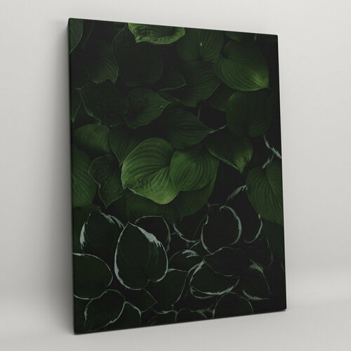 Картина на холсте (интерьерный постер) "Зеленые хосты в саду" цветы и растения, с деревянным подрамником, размер 30х40 см
