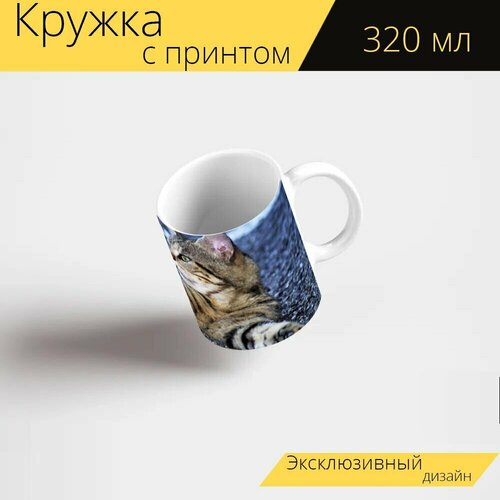 Кружка с рисунком, принтом "Кошка, кот, европейская кошка" 320 мл.