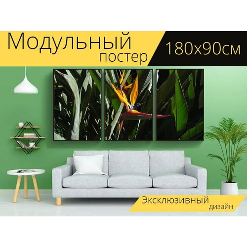 Модульный постер "Райская птица, цветок, завод" 180 x 90 см. для интерьера