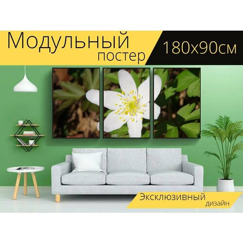 Модульный постер "Цветок, белый цветок, дикий цветок" 180 x 90 см. для интерьера