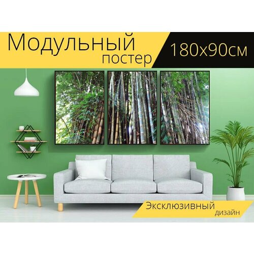 Модульный постер "Бамбук, бамбуковая роща" 180 x 90 см. для интерьера