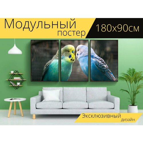 Модульный постер "Волнистый попугайчик, дружба, привязанность" 180 x 90 см. для интерьера