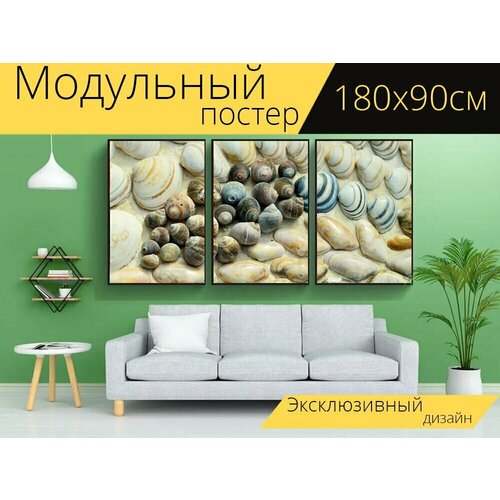 Модульный постер "Моллюски, пляж, улитки" 180 x 90 см. для интерьера