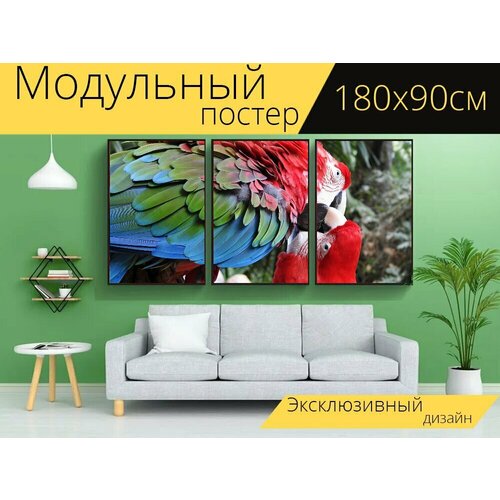 Модульный постер "Попугай, птицы, пара" 180 x 90 см. для интерьера