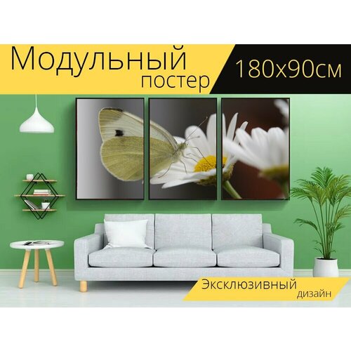 Модульный постер "Бабочка, белый, большая капуста белая бабочка" 180 x 90 см. для интерьера